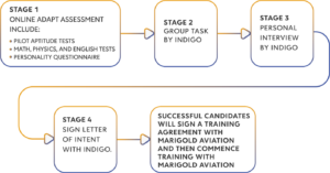 Indigo Cadet Pilot Program – Your Pathway to an Airline Career